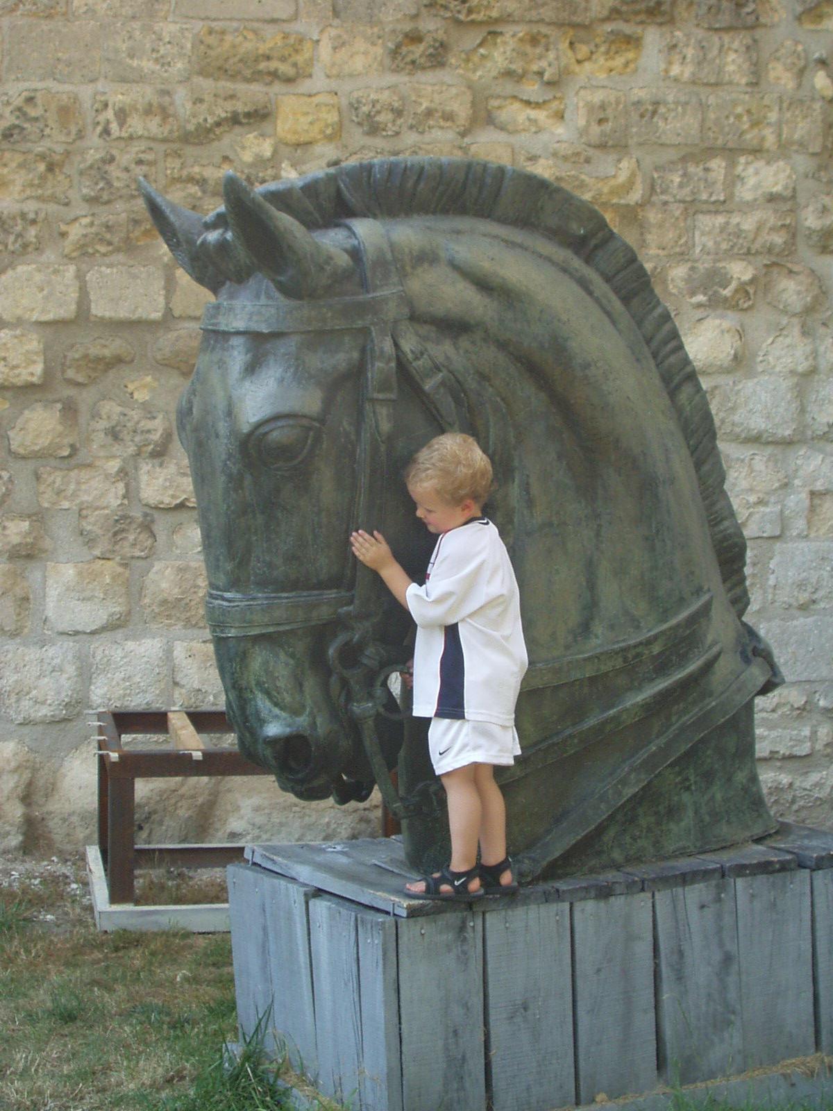 Mes études - Ostéo-Animalia