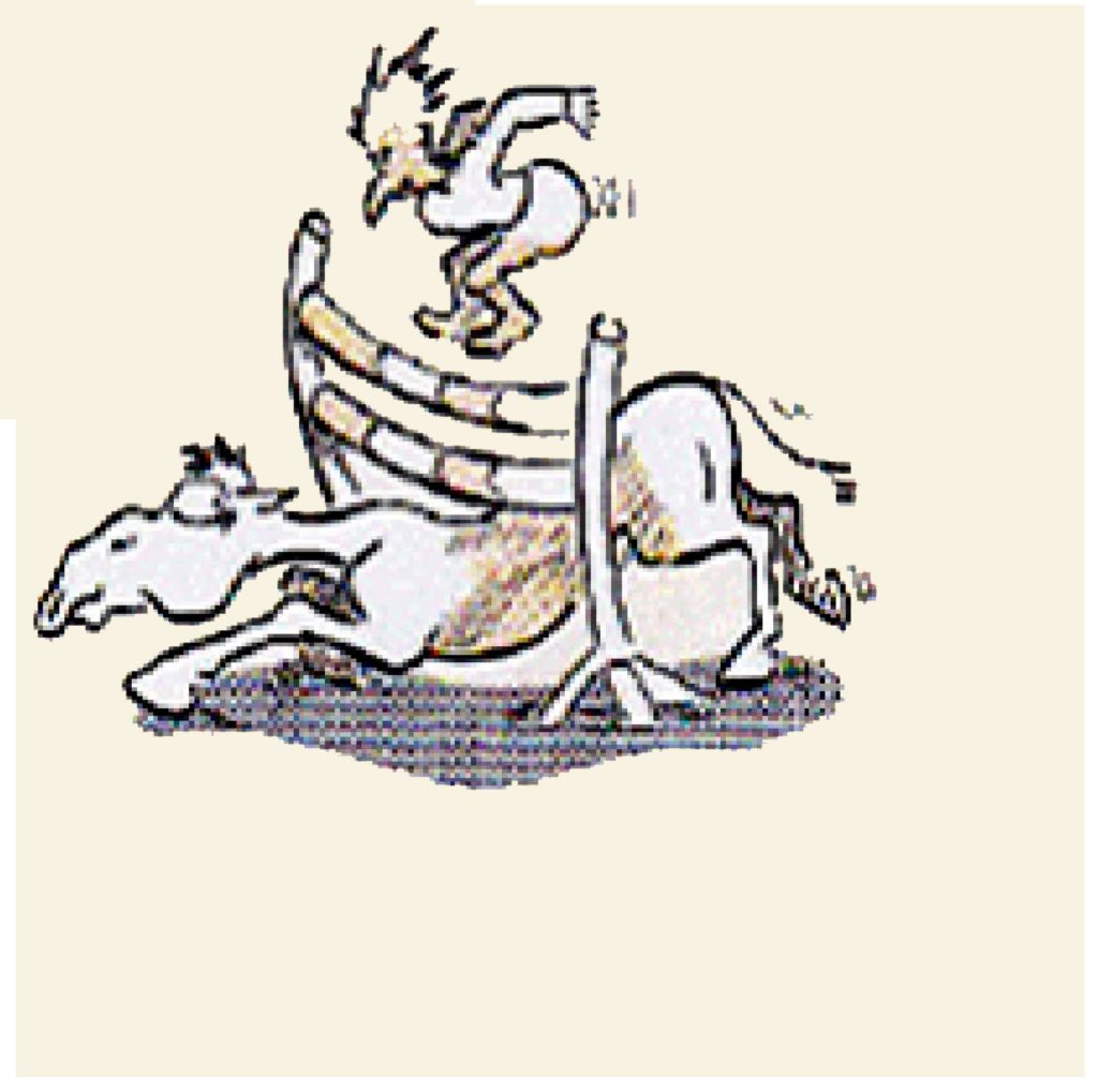 Quand consulter ? - Ostéo-Animalia