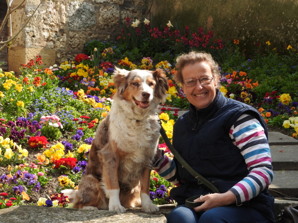 Mes études - Ostéo-Animalia